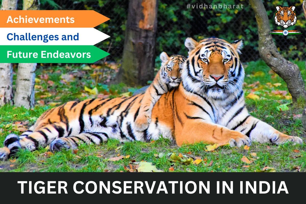 Tiger Conservation in India: Achievements, Challenges, and Future ...